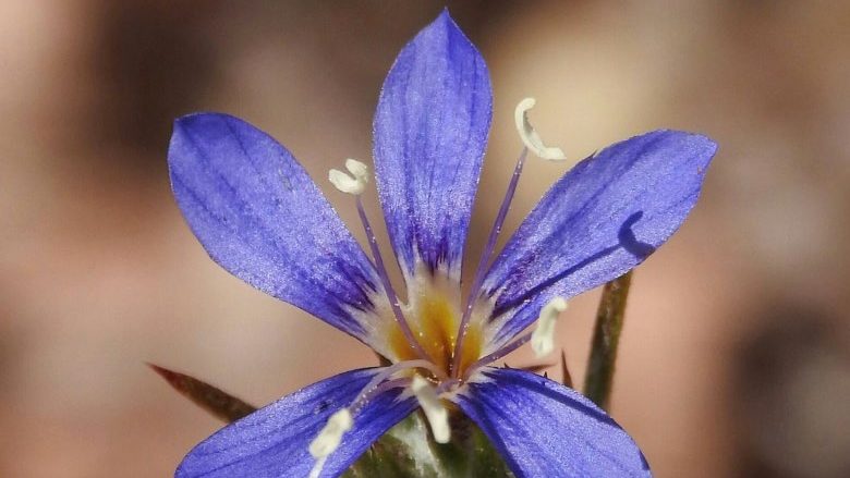 Environment | Imjin Parkway Widening & Roundabout Project